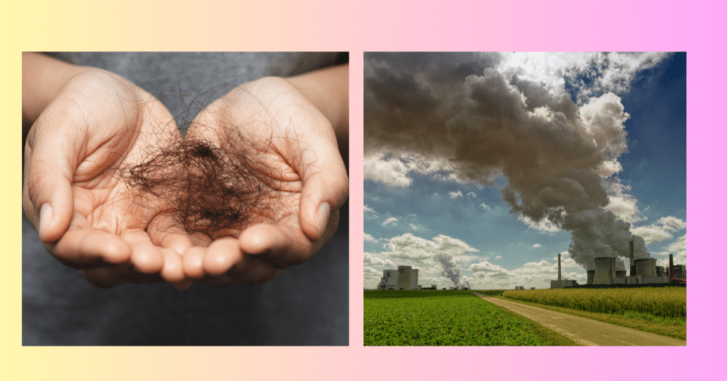 Hair Health & Environment: Causes & Protection